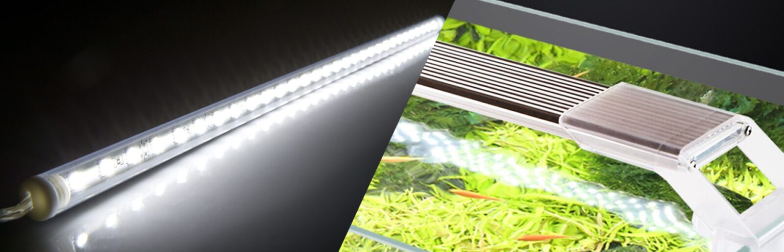 Đèn led thủy sinh khác gì đèn led thường? - aquasetup